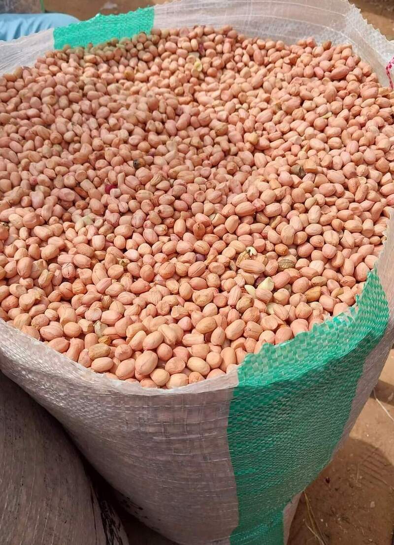 Groundnut (bag, 50kg) | SundryAgro