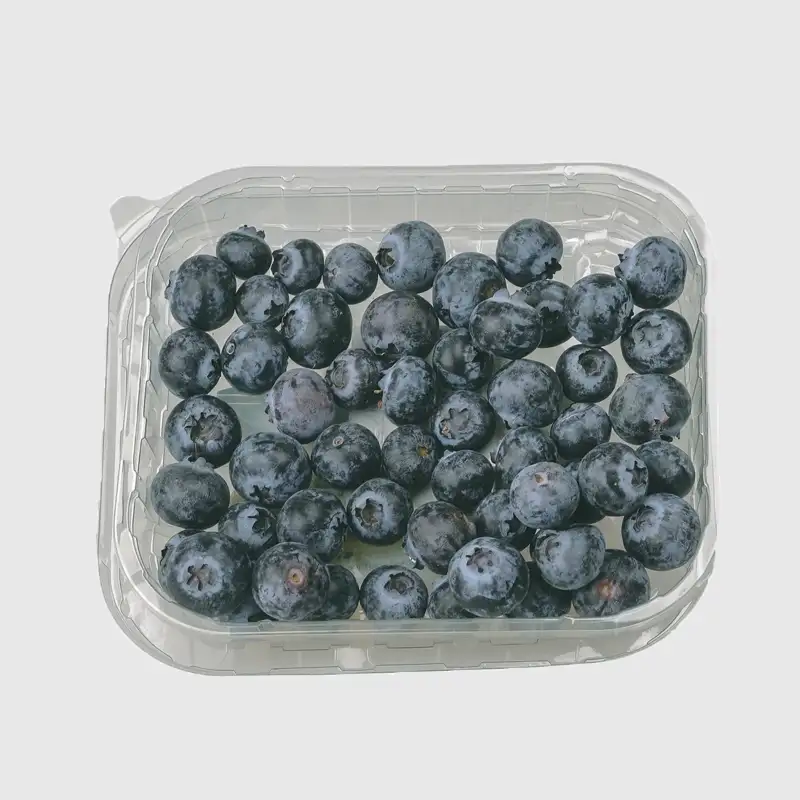 Blueberry (125g, 1 pack) | SundryAgro