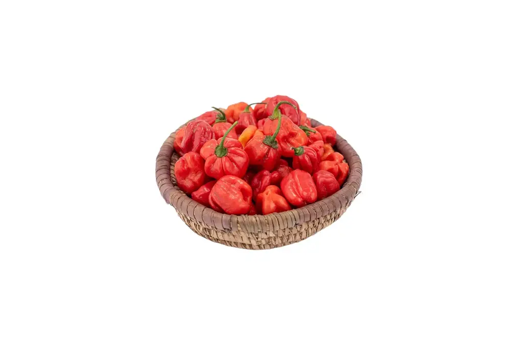 Pepper - Ata Rodo (kg) | SundryAgro